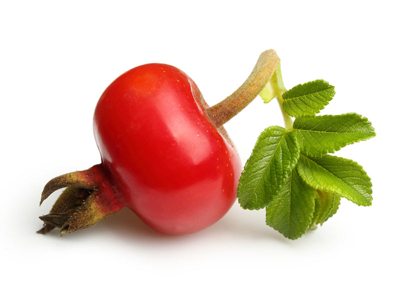 Rosehip Oil Benefits for Skin – ZoeM Skin Essentials